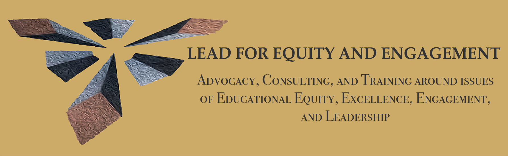 Lead for Equity and Engagement – Advocacy, Consulting, and Training ...